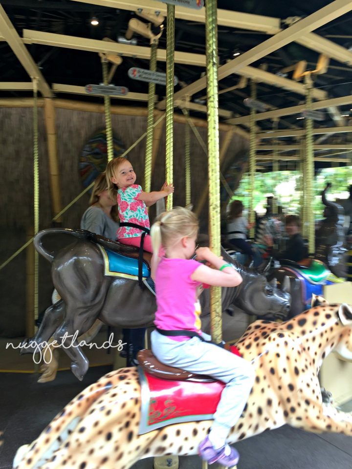 Insiders Guide to the San Diego Zoo Safari Park | Nuggetlands