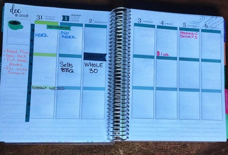 How I use my Erin Condren Life Planner to stay organized | Nuggetlands